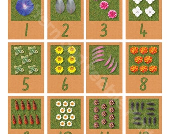 Number Cards 1-12 With Natural Objects for Counting, Polaroid Style ...