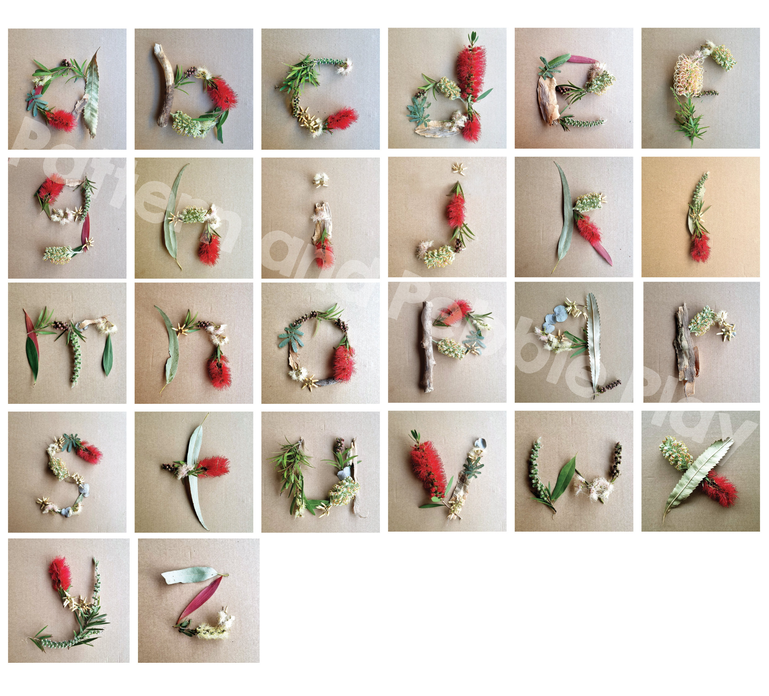 Australian Native Alphabet Loose Parts Flashcards Lowercase A-z - Etsy ...