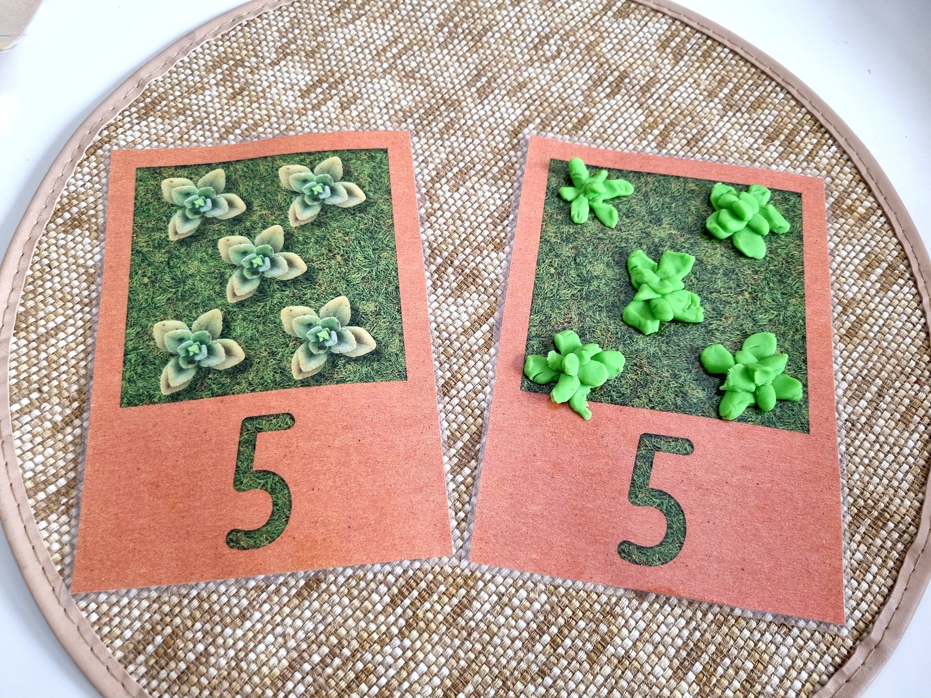 Number Cards 1-12 With Natural Objects for Counting Digital Download - Etsy