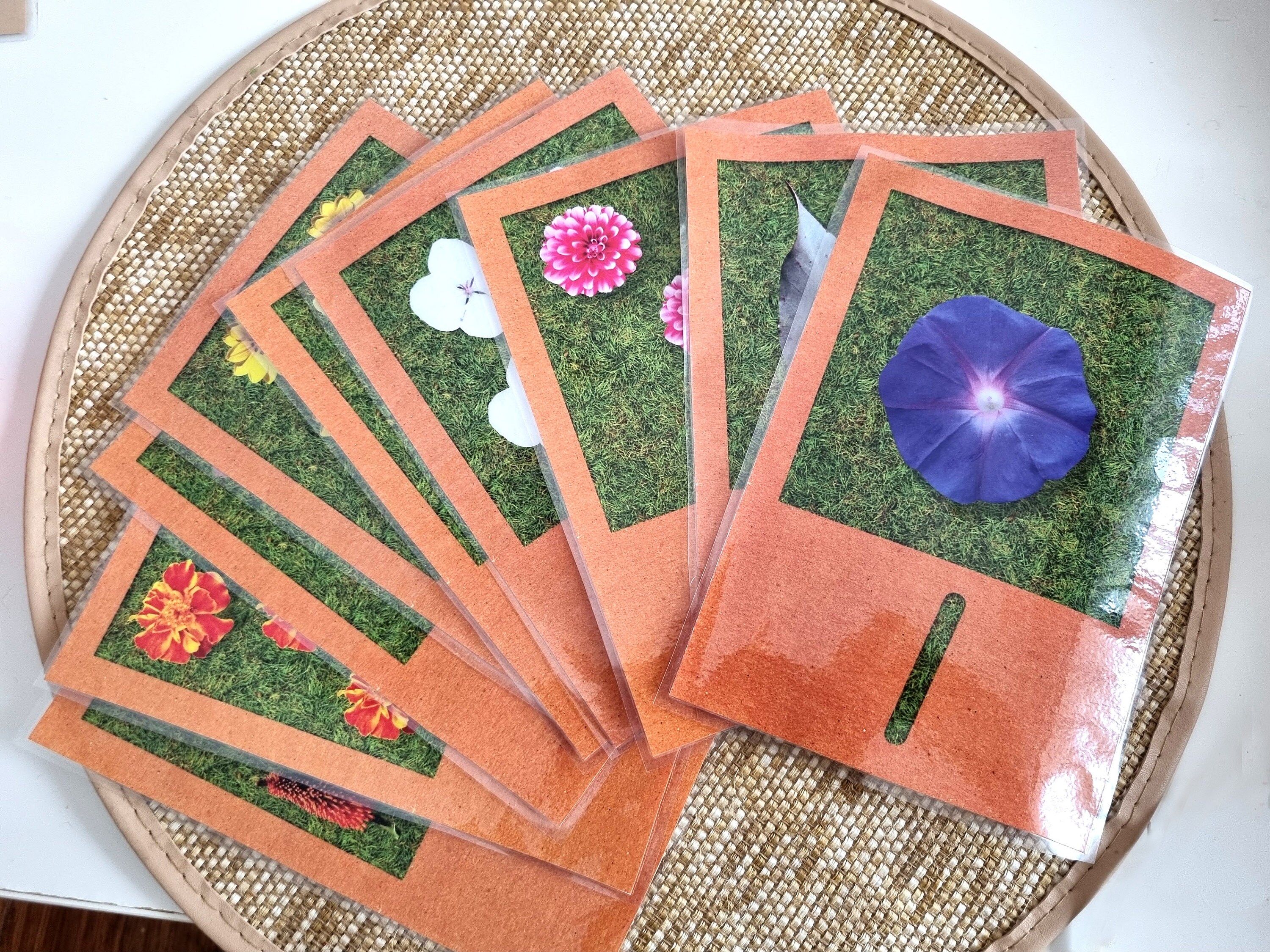 Number Cards 1-12 With Natural Objects for Counting Digital Download - Etsy