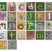 Farm Finds Natural Loose Parts Alphabet Flashcards A3 Page - Etsy