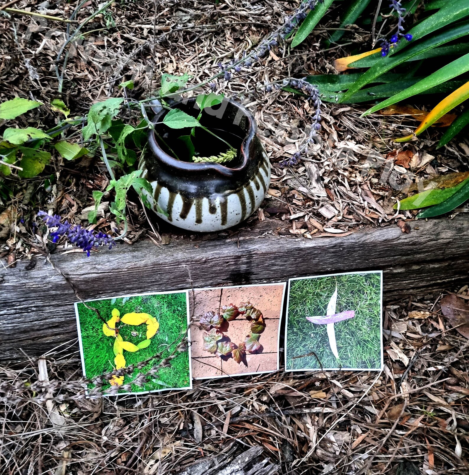 Farm Finds Natural Loose Parts Alphabet Flashcards A3 Page - Etsy