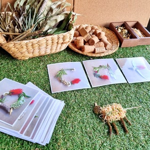 Australian Native Alphabet Loose Parts Flashcards Lowercase A-z - Etsy