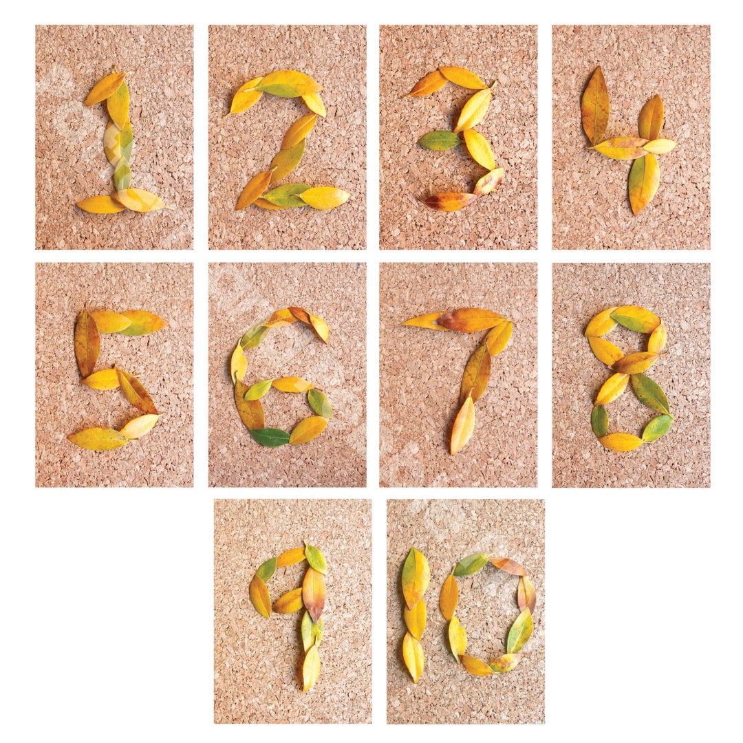 Autumn Leaf Numbers 1-10 - Etsy