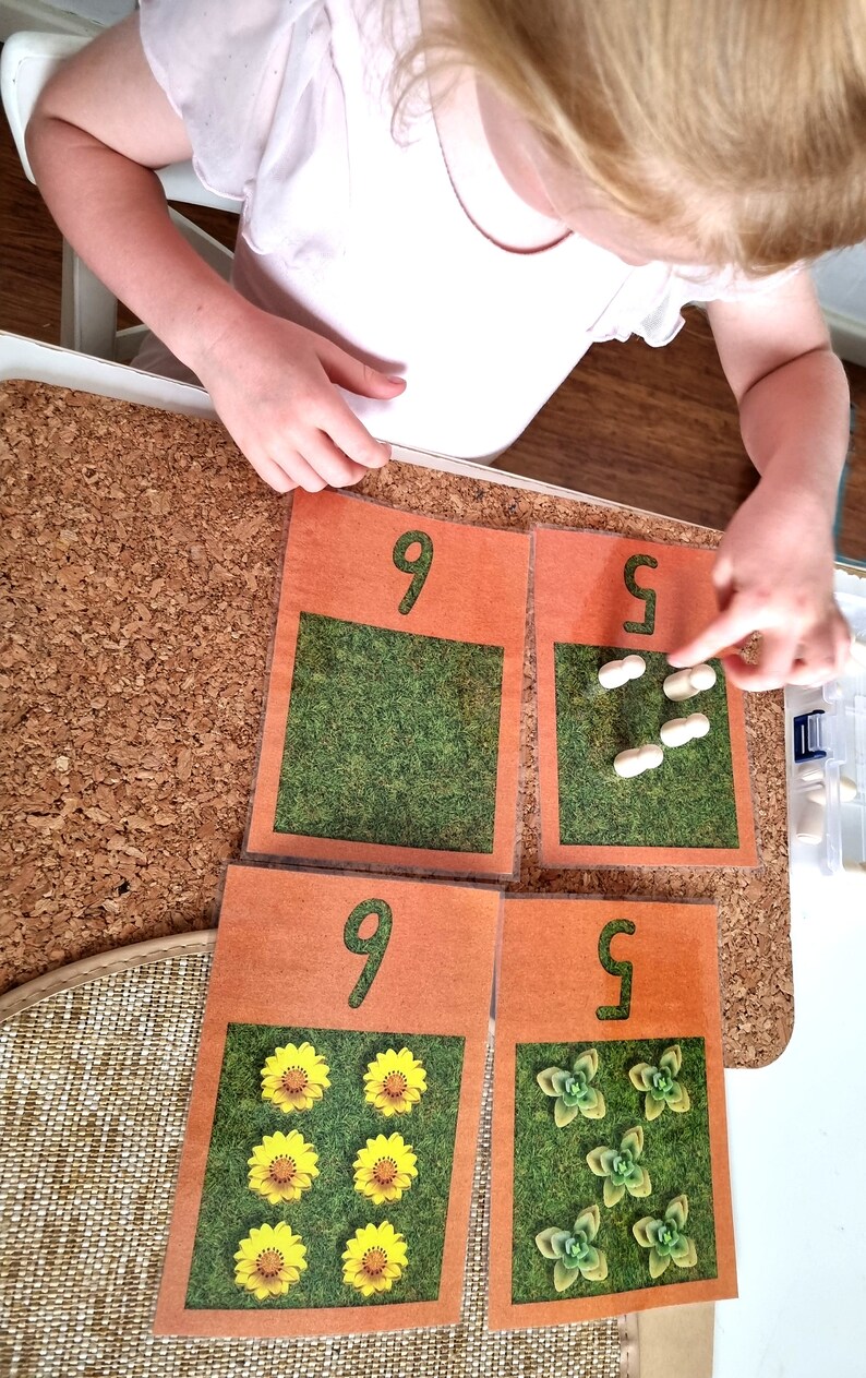 Number Cards 1-12 With Natural Objects for Counting Digital Download ...