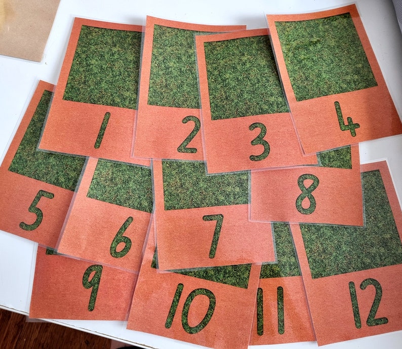 Plain Number Flashcards 1-12 With Grass and Cardboard for Maths ...