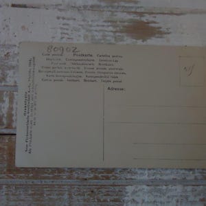 Wood Nymph Doll Postcard Artist Woman Lady Girl, Forest Trees Long Hair ...