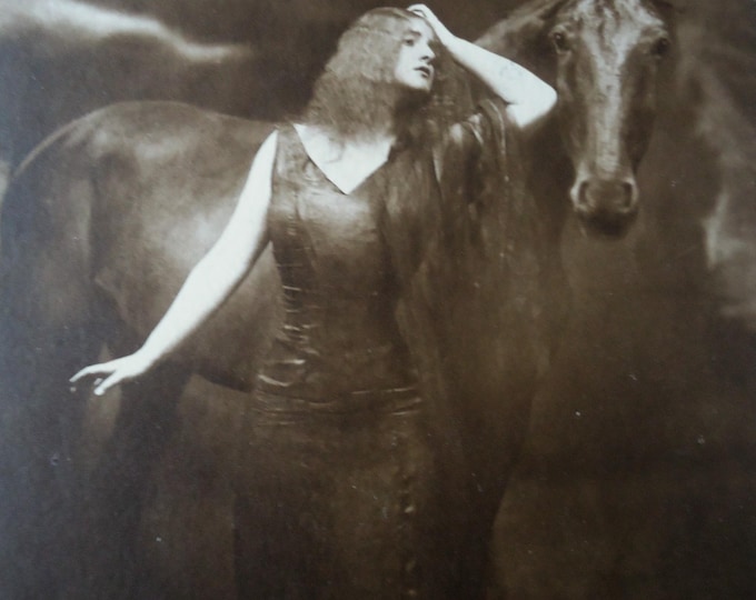 Antique Horse Postcard - Actrice Henny Porten, Lady Woman Girl ...