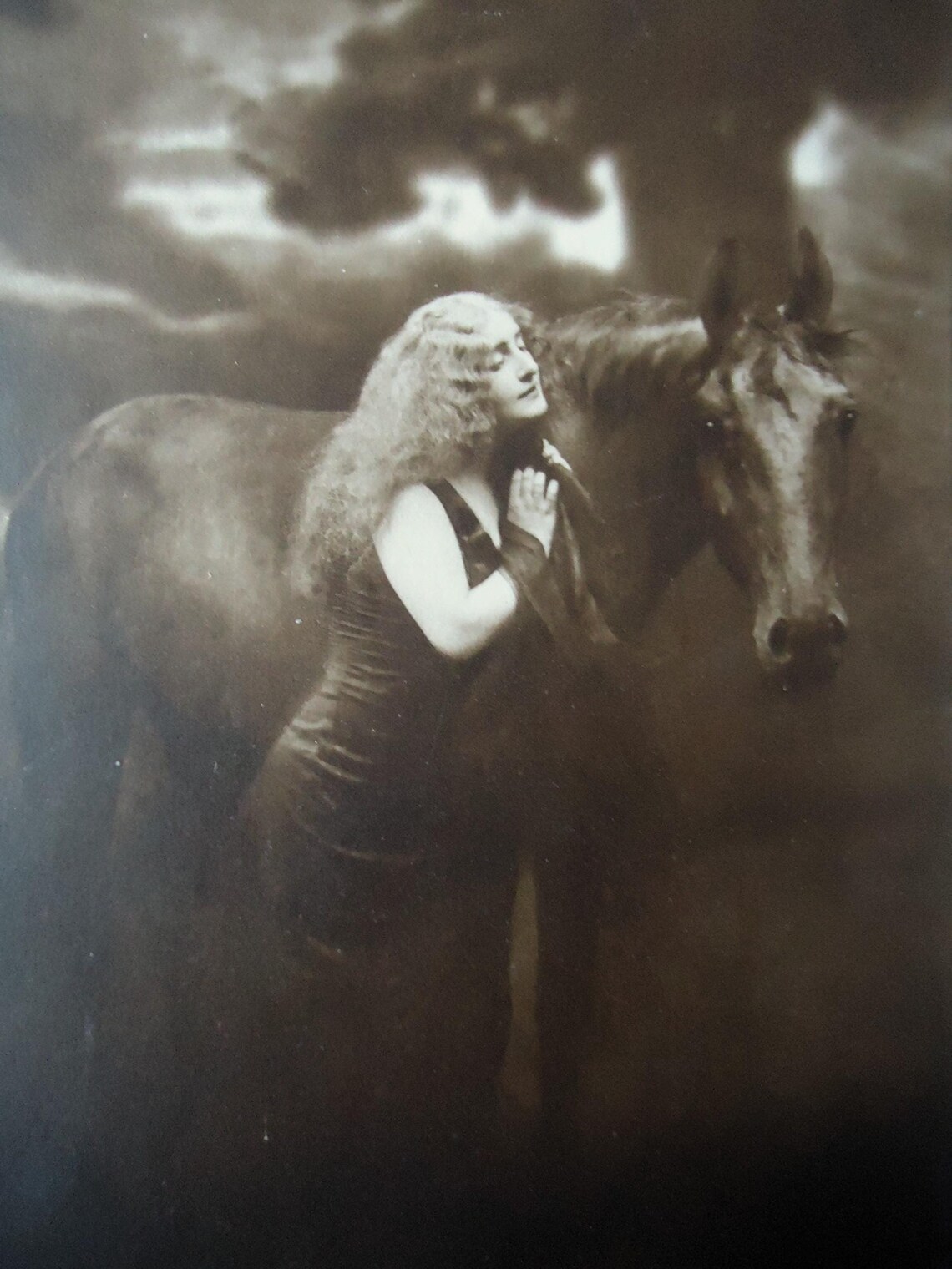 Antique Horse Postcard - Actrice Henny Porten, Lady Woman Girl ...