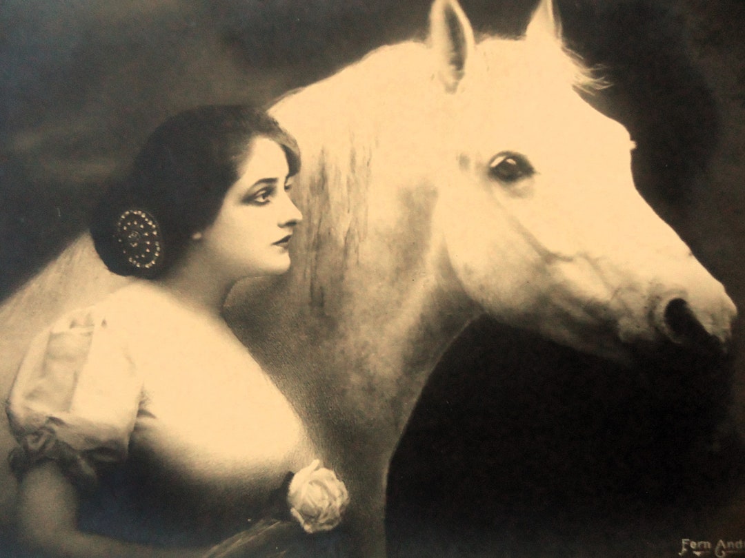 Antique Horse Postcard Lady Woman Girl, Actress Fern Andree, Beauty En ...