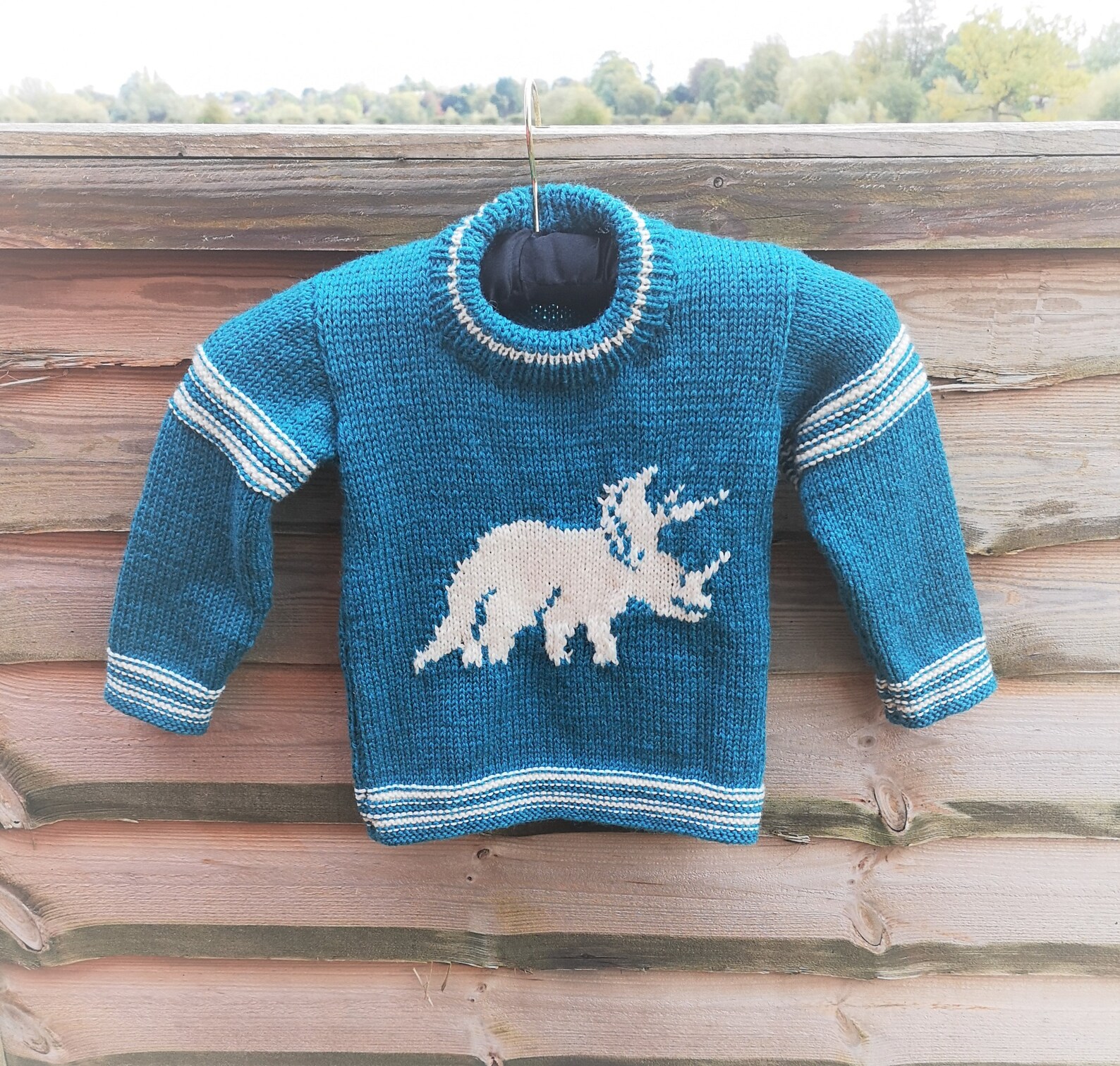 Knitting Pattern Dinosaur Child's Sweater Triceratops | Etsy UK