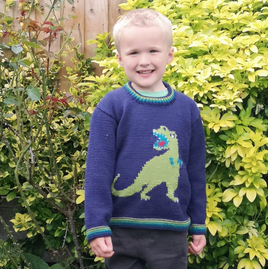 Dinosaur Sweater Knitting Pattern: T-rex Design, Child Sizes 2-7 Yrs ...