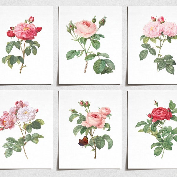 Rose Prints - Etsy