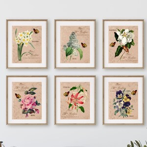 Farmhouse Floral Wall Art Set of 6 Garden Art Prints - Etsy