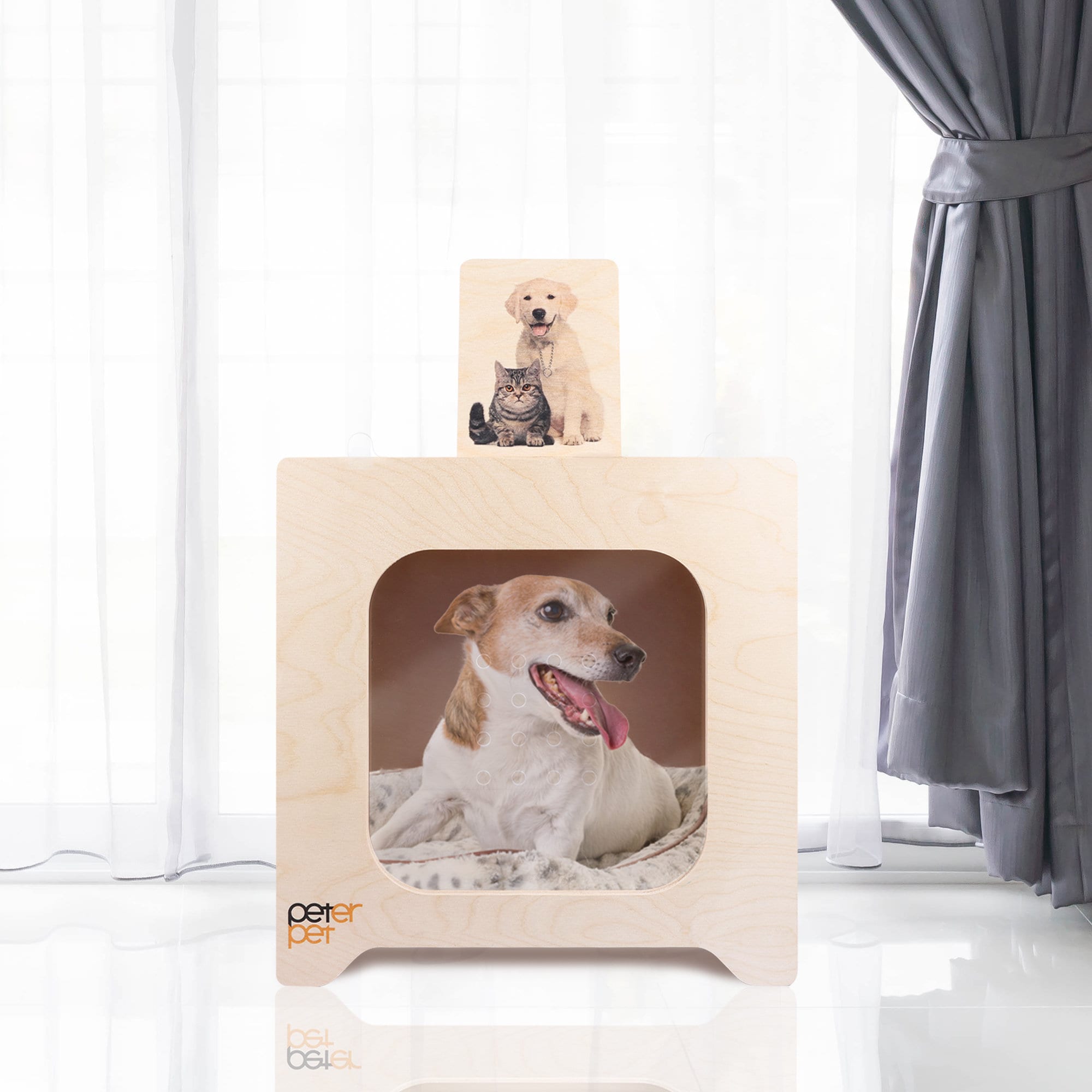 Puppy House With Transparent Acrylic Plexiglass Guard DIY Type Birch ...