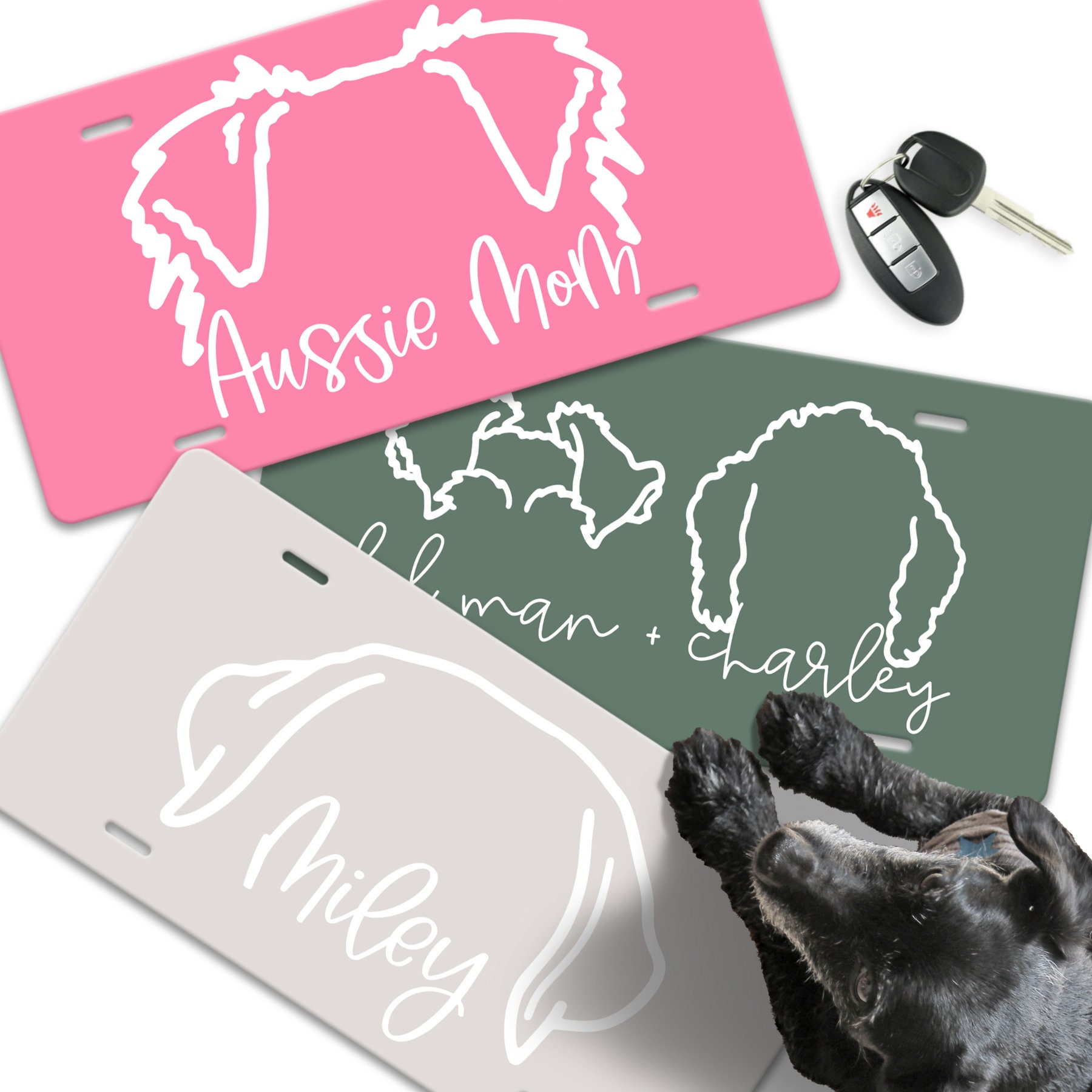 Phteven Dog License Plate