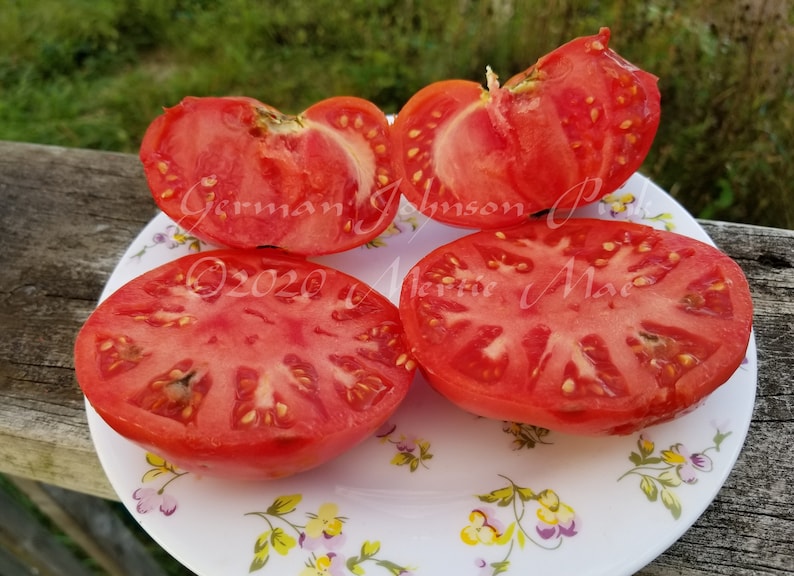 German Johnson Pink Tomato Seeds Organically Grown - Etsy