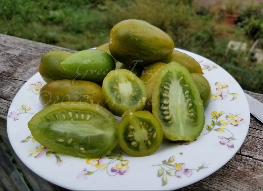 Green Tiger Tomato Seeds -- Organically Grown, Non-gmo, Heirloom, Made ...