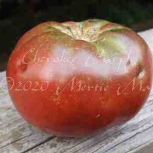 Amish Paste Tomato Seeds Organically Grown Non-gmo - Etsy