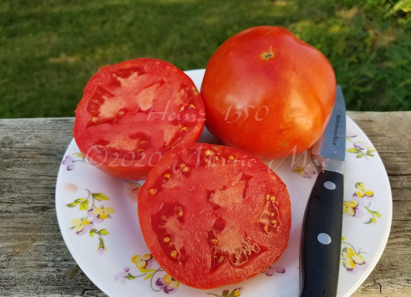 Heinz 1350 Tomato Seeds Organically Grown Non-gmo - Etsy