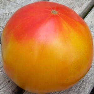 Virginia Sweets Tomato Seeds -- Organically Grown, Non-gmo, Heirloom ...