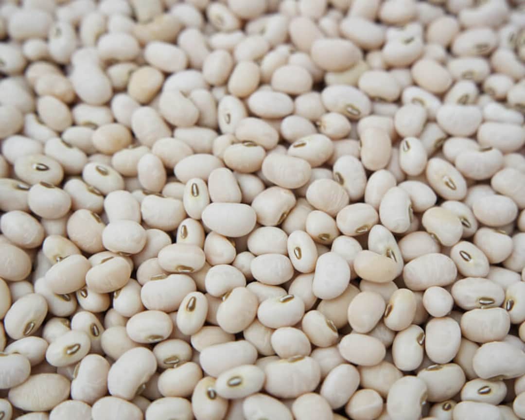 Lady Cowpea (southern Pea) Seeds -- Organically Grown, Non-gmo ...