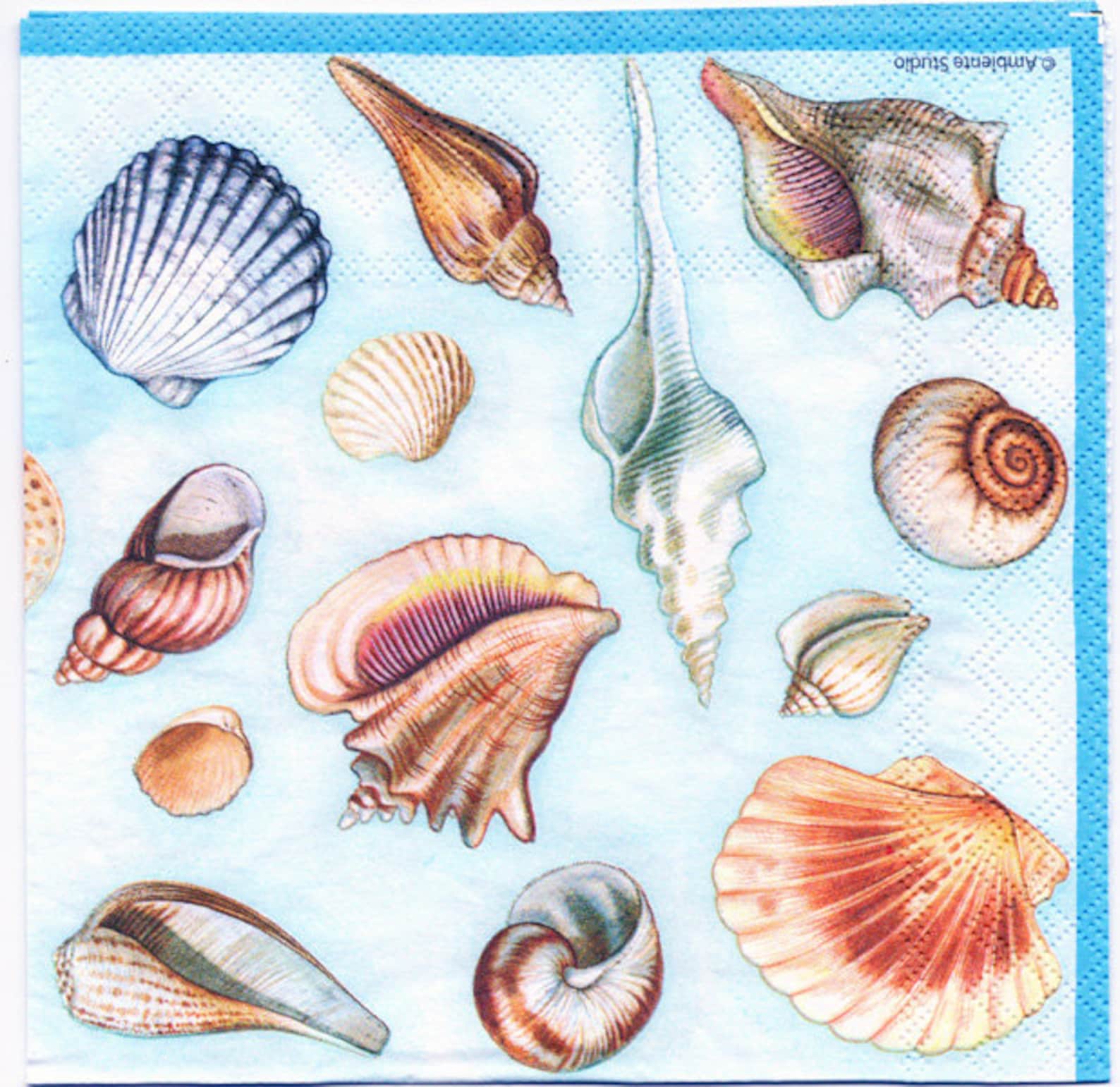 Decoupage Napkins Sea Shell Collection With Blue Background | Etsy
