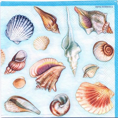 Decoupage Napkins Sea Shell Collection With Blue Background - Etsy