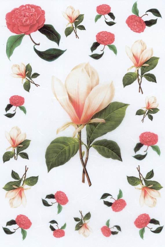 Rice Paper for Decoupage L Magnolia & Red Roses Rice Paper L - Etsy