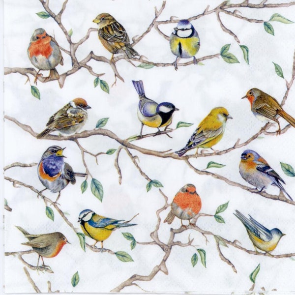 Bird Napkins - Etsy