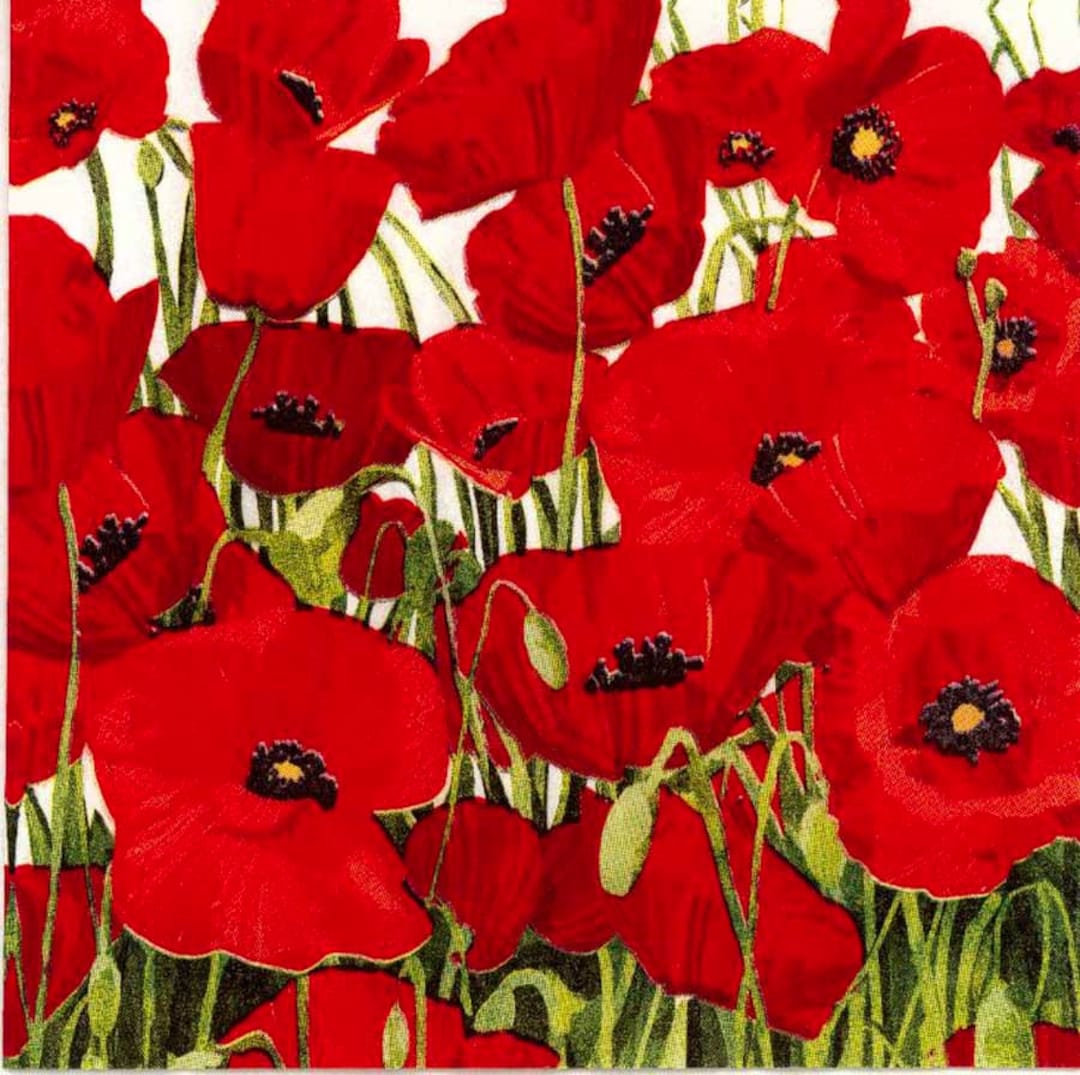 Red Poppy Decoupage Napkins: Floral Paper Napkins - Set of 4 - Etsy