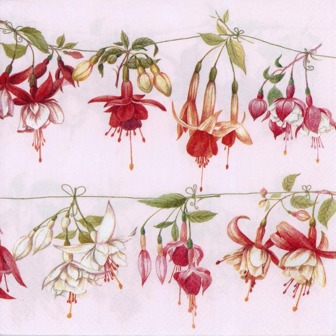 4 Decoupage Paper Napkins Red & White Fuchsias Fuchsia Napkins Flower ...