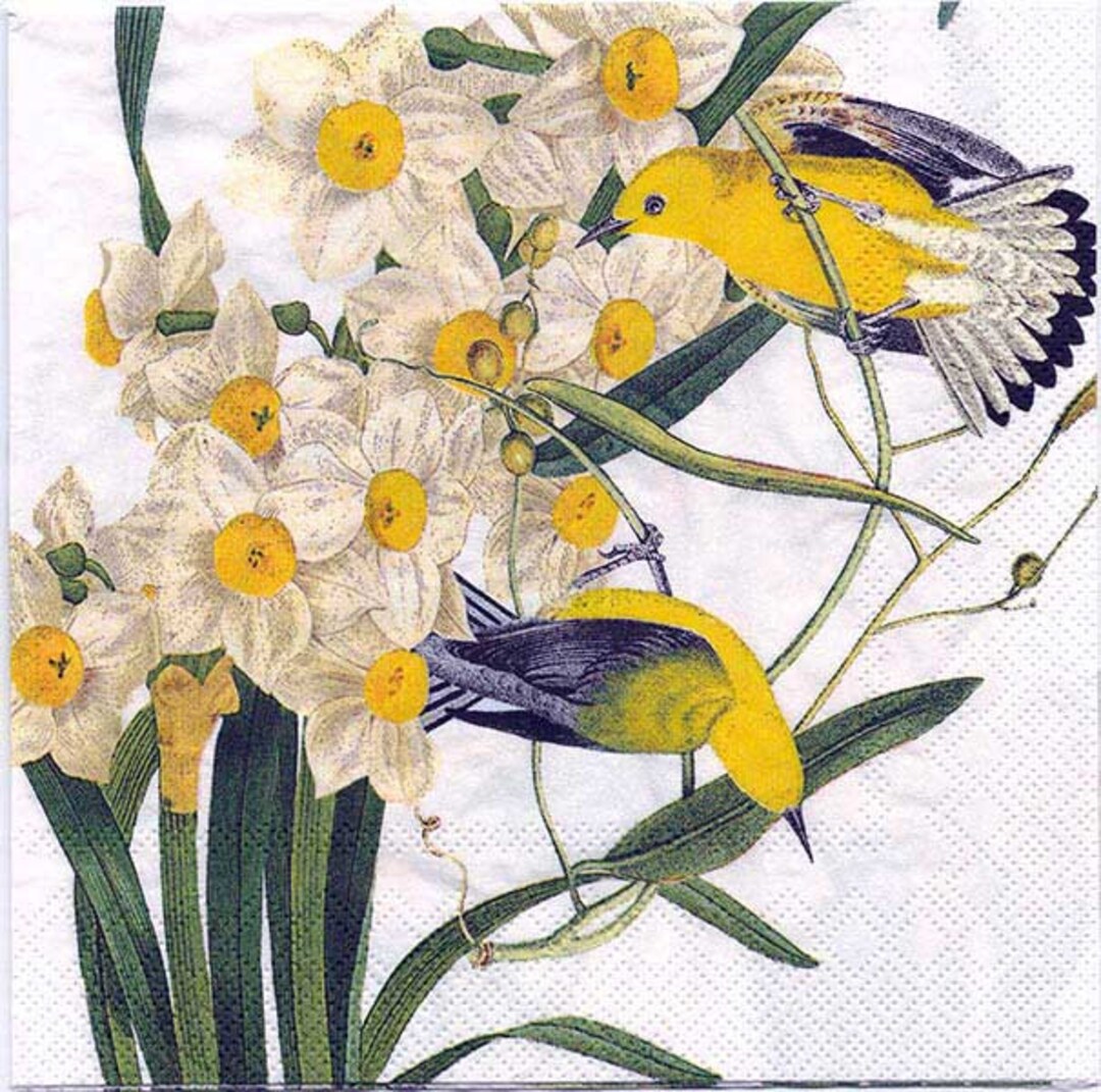 Decoupage Napkins | Goldfinches and Daffodils | Bird Napkins | Floral ...