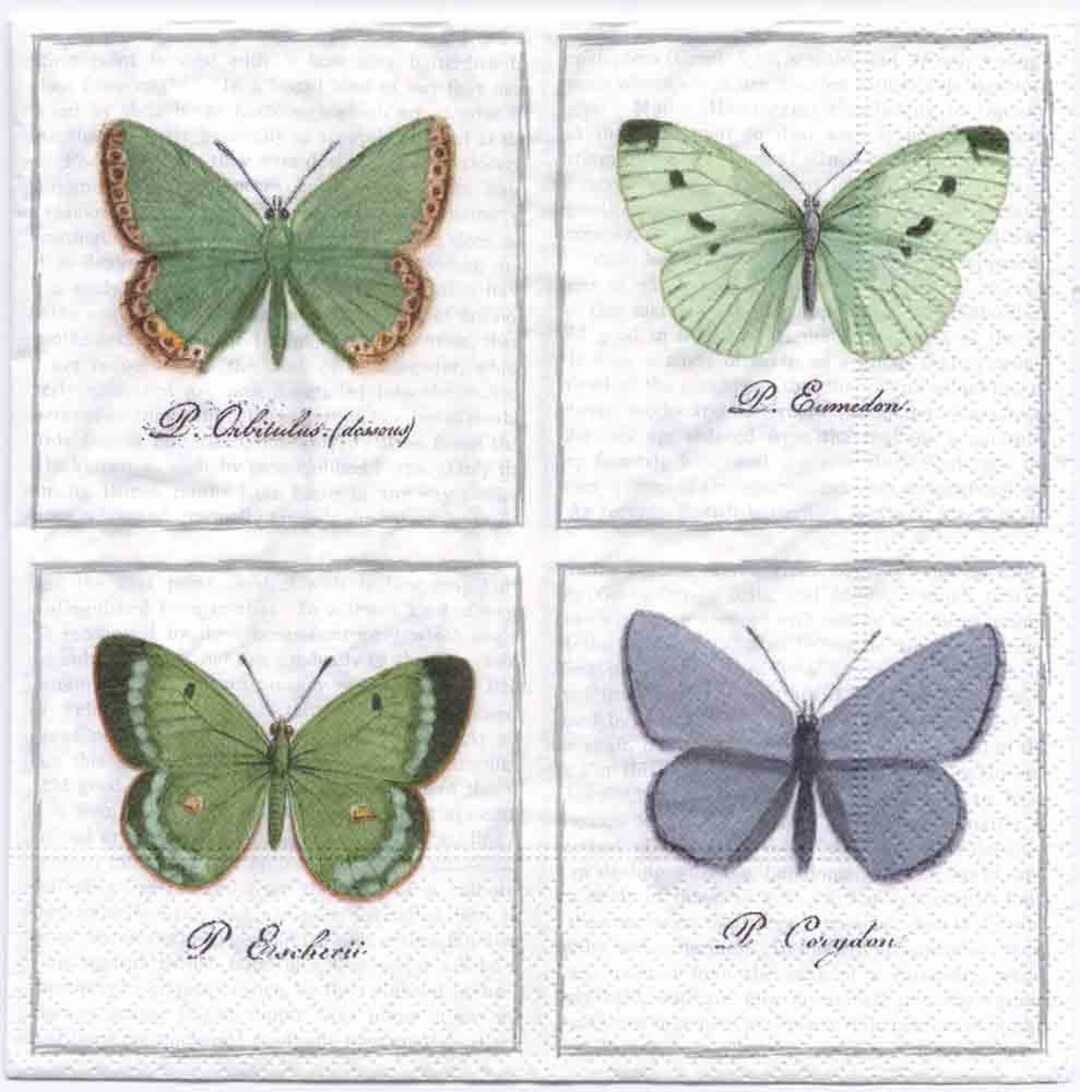 Decoupage Napkins | Vintage Print of Four Butterflies | Butterfly ...