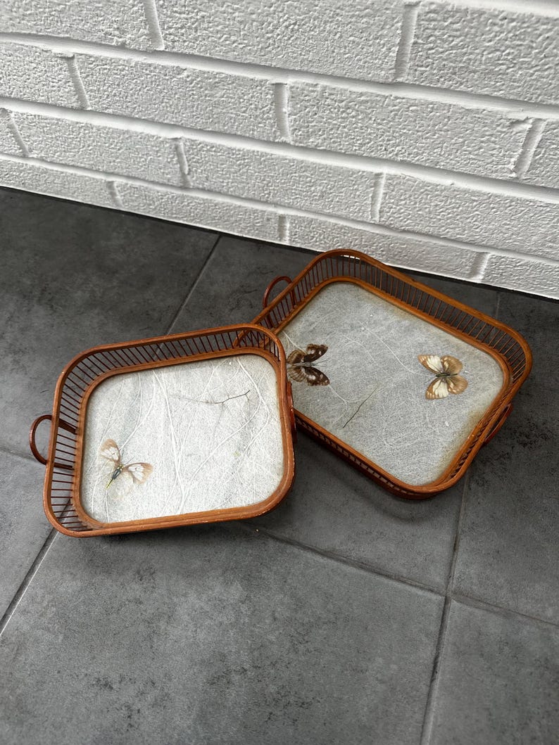 1950s Antique Bamboo and Glass - Butterfly Inlaid With Butterfly Wings ...