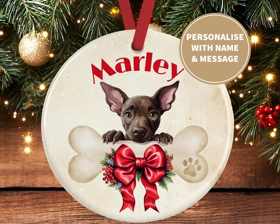 Personalised Xoloitzcuintli Mexican Hairless Dog Christmas Ornament ...
