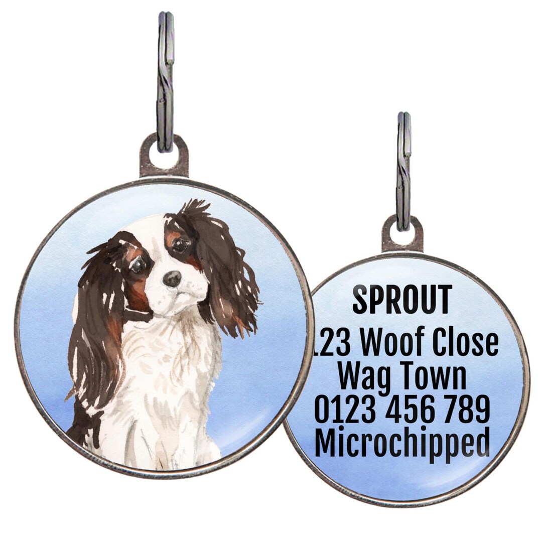 King Charles Spaniel Dog ID Tag – 4 Background Colors – Tri Color ...