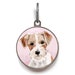 Jack Russell Dog Tag, Jack Russell Disc, Jack Russell Terrier Gift - Etsy