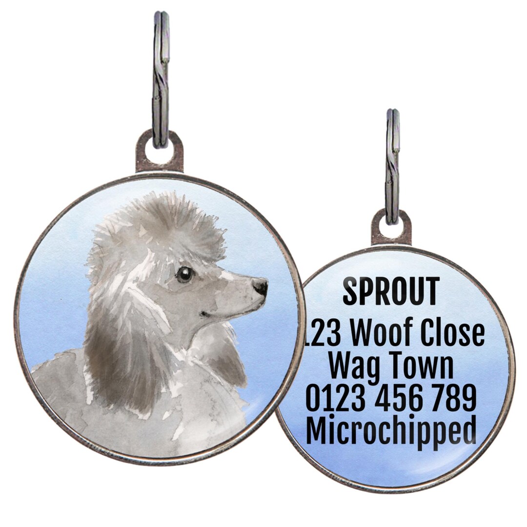 Poodle Dog ID Tag – 4 Background Colors – Personalized Name Tag for ...