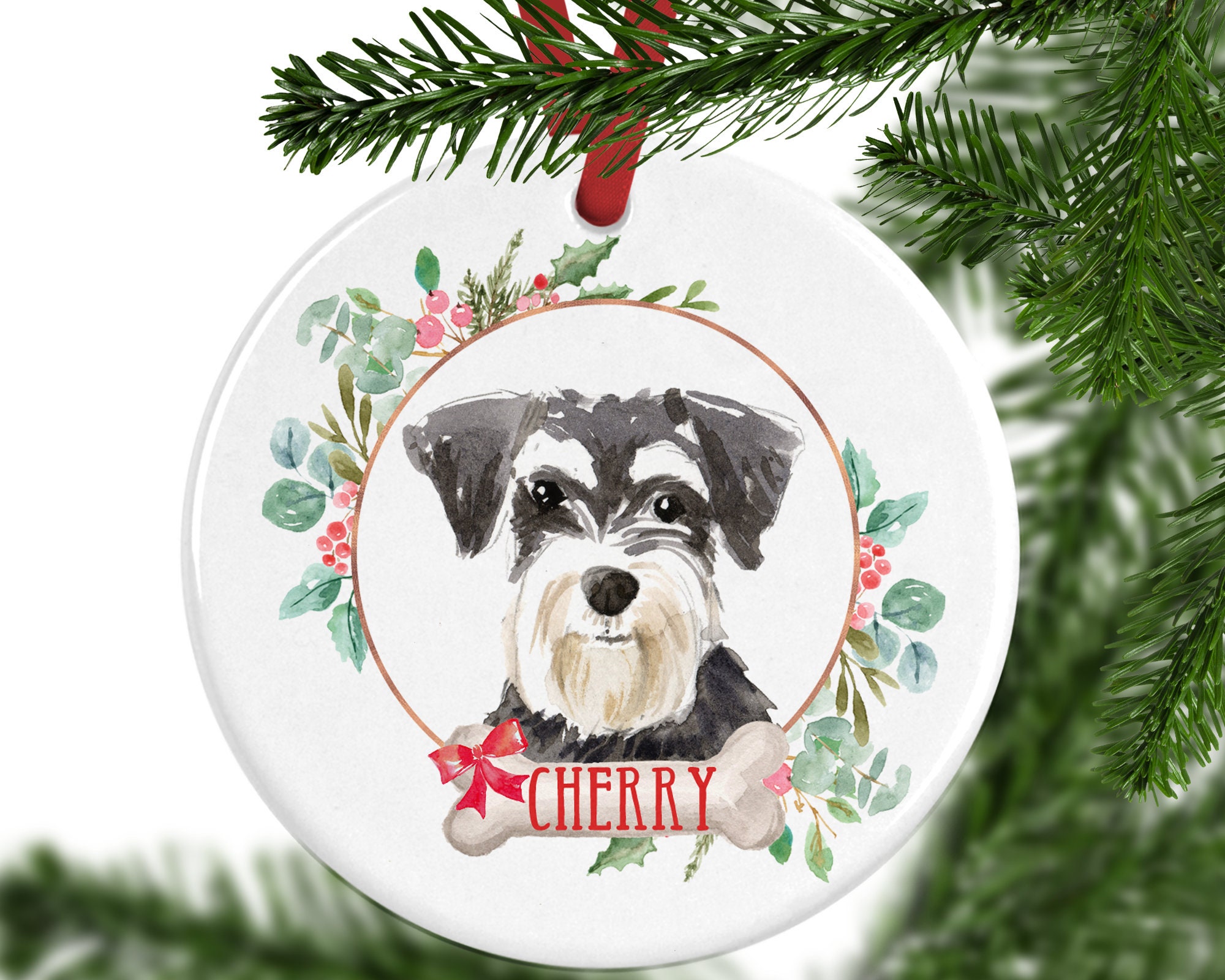 Merry Christmas With Mini Schnauzer