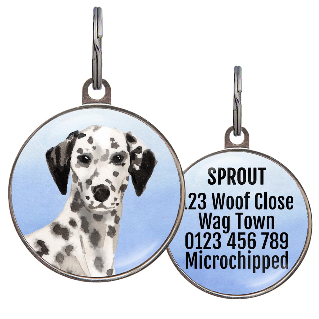 Dalmatian Dog ID Tag – 4 Background Colors – Personalized Spotty Dog ...