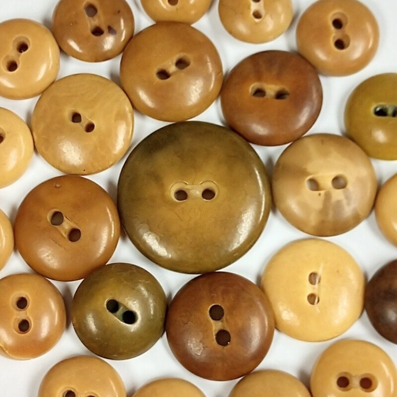 Vegetable Ivory - Etsy