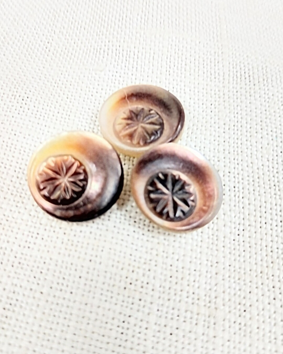 Three Carved Oyster Shell Buttons Shank Style 5/8" 16mm Sewing Supply ...