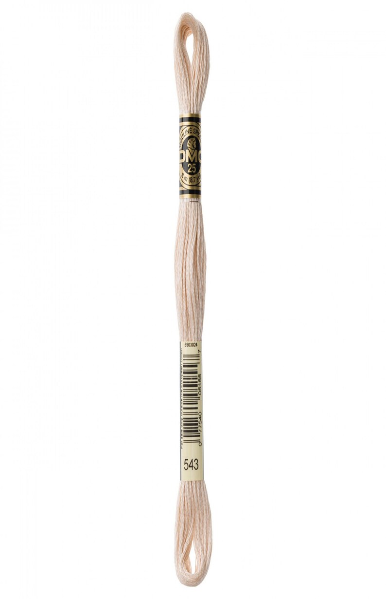 DMC 543 Ultra Very Light Beige Brown Six Strand Embroidery Floss 117 ...