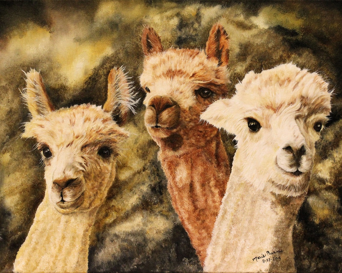Alpaca Art Print, Farm Animal Art Print, Matted and Signed Art Print ...