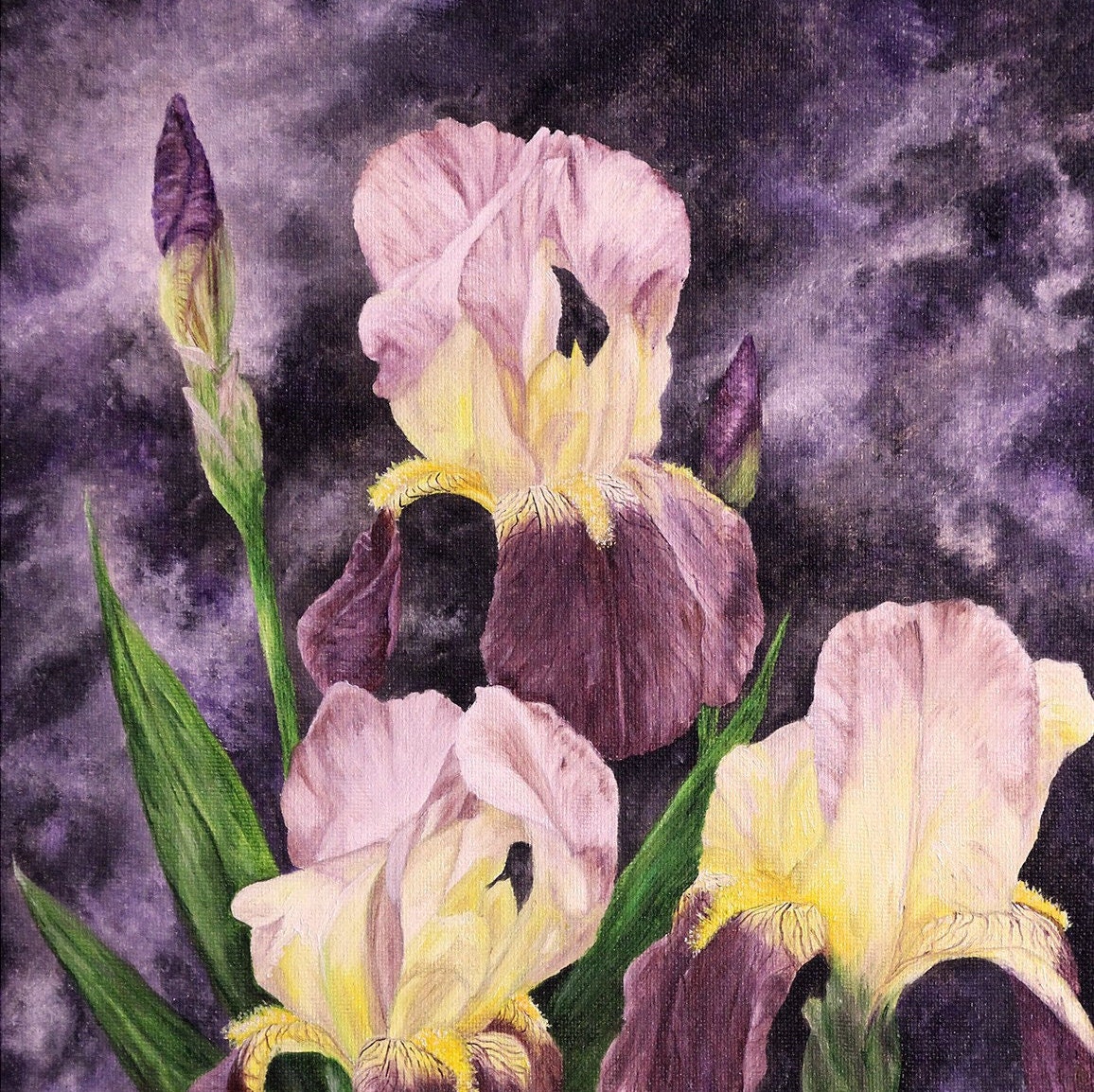 Iris Painting, Floral Painting, Original Oil Painting on Canvas 11in X ...