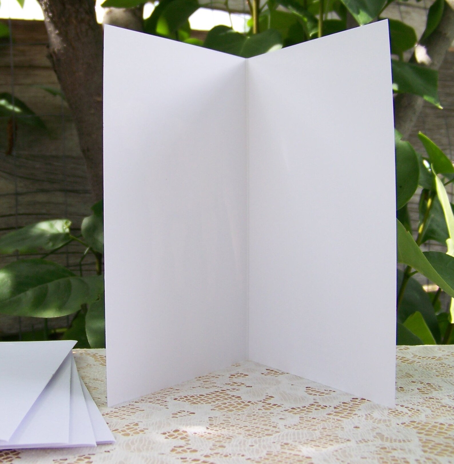 Cardinal Note Cards Cardinal Stationary A Set of 4 Cards - Etsy