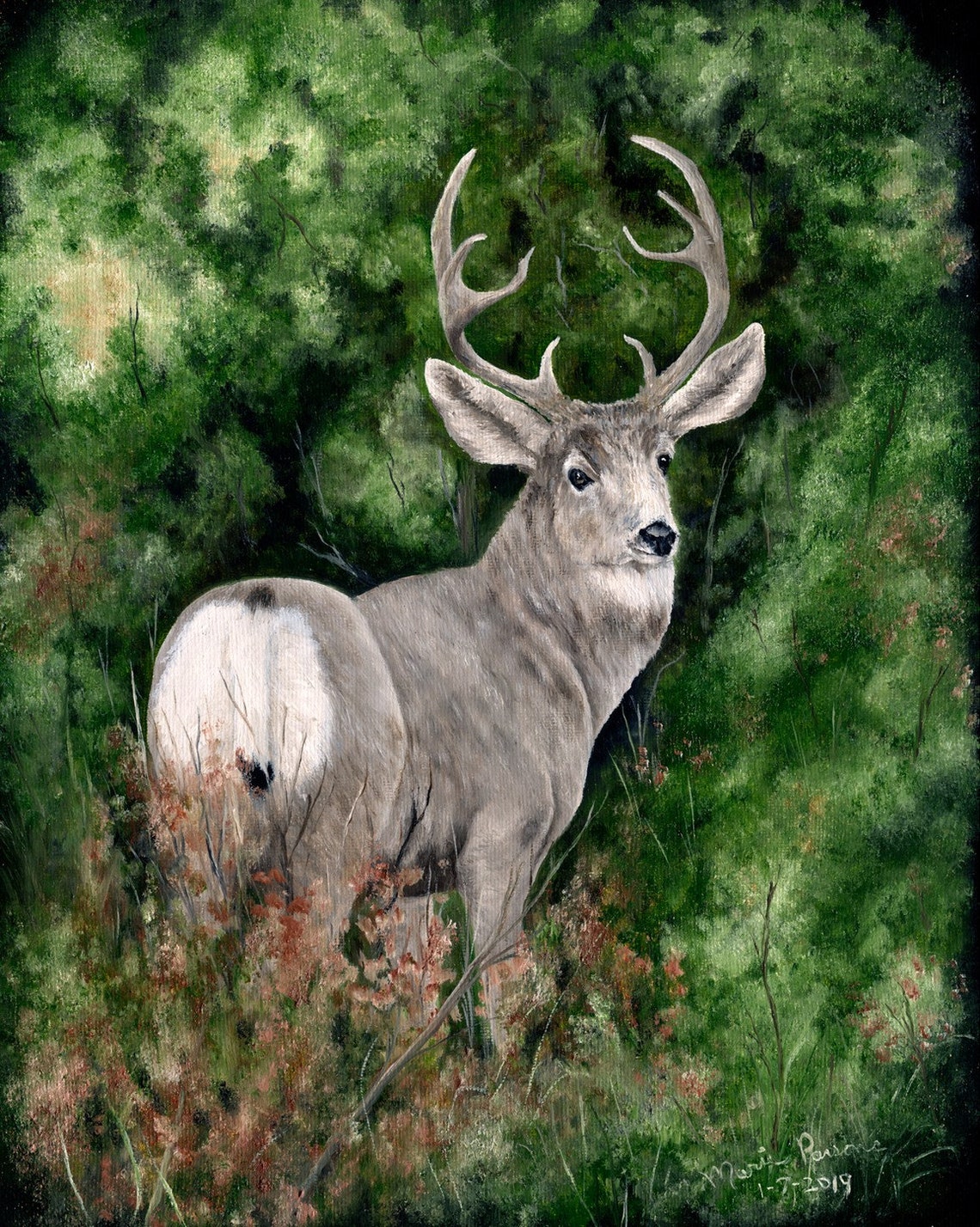 Mule Deer Art Print Wildlife Art Print Matted and Signed Art - Etsy