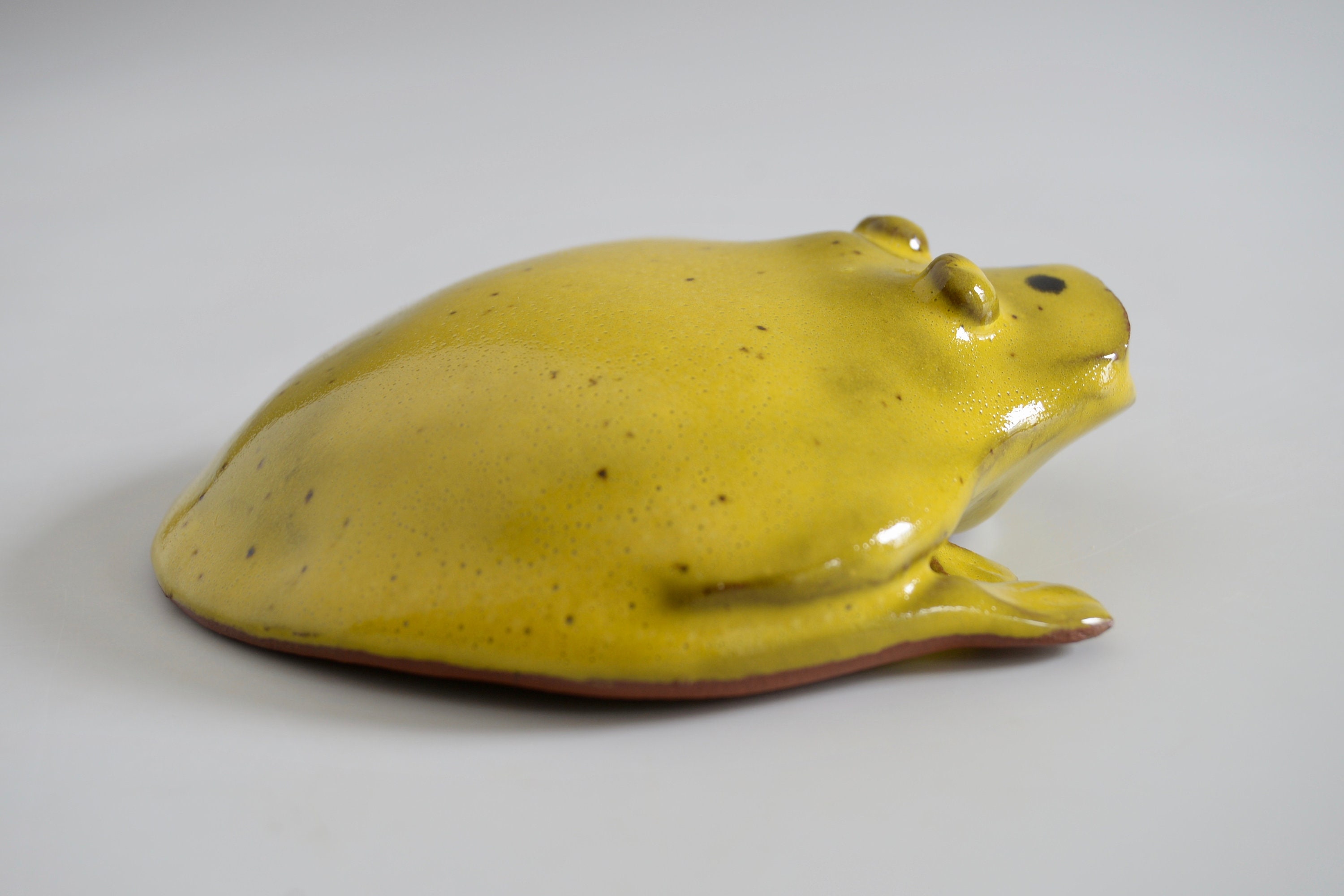 Frog Key Hider, Stoneware, Yellow Glaze With Speckles, Comes With Poem ...