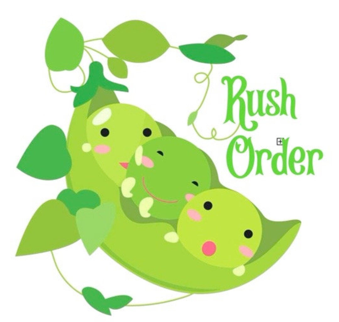 RUSH Order - Expedited Order PROCESSING (NOT Expedited Shipping) - Etsy
